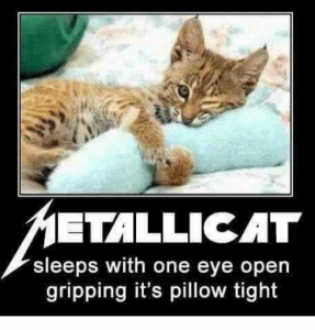 Sleeping with one eye open? - Thoracic and Sleep Group Queensland